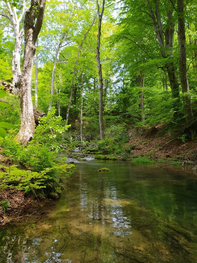 Hiking Trail Gradac River stock photo. Image of forest - 259156486
