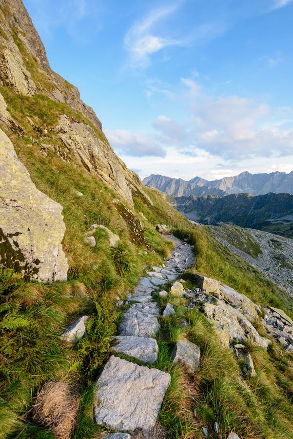 Hiking Trail in the High Tatra Stock Image - Image of outdoor, dwarf ...