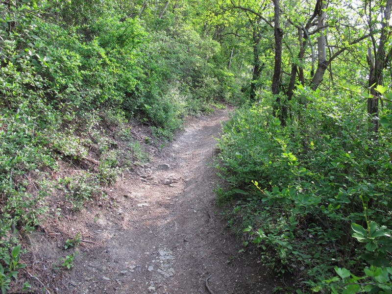 Hiking Trail in Jena, Lobeda, Kernberge, Thuringia, Germany Stock Photo ...