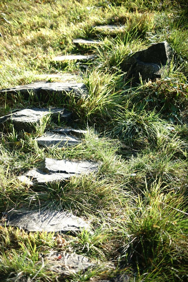 Hiking trail stock photo. Image of plates, stone, meadow - 79599886