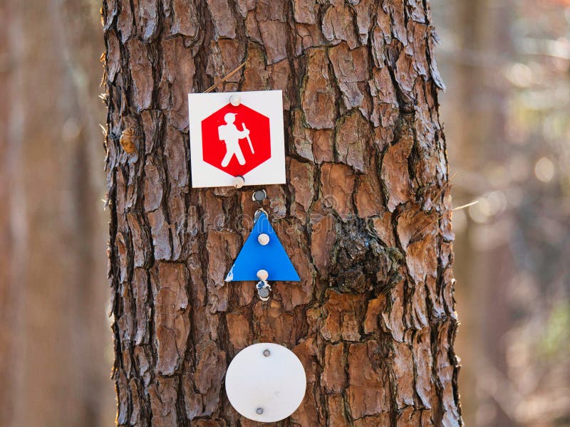 Hiking trail markers. stock image. Image of lighting - 263955873