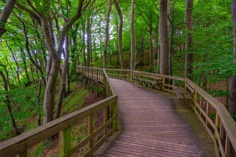 Hiking Trail at Mons Klint White Cliffs in Denmark Stock Photo - Image ...