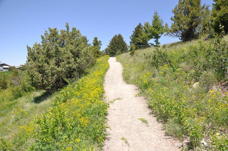 Hiking Trail Montana Spring Stock Photo - Image of time, trail: 103017760