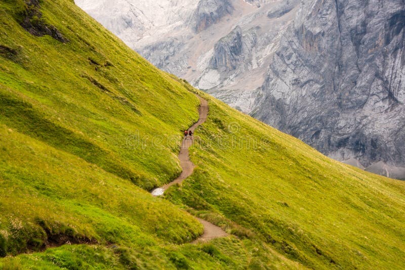 Hiking Trail in Mountain with People Walking Stock Image - Image of ...