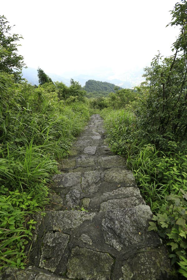 Hiking trail on mountain stock photo. Image of empty - 62302132