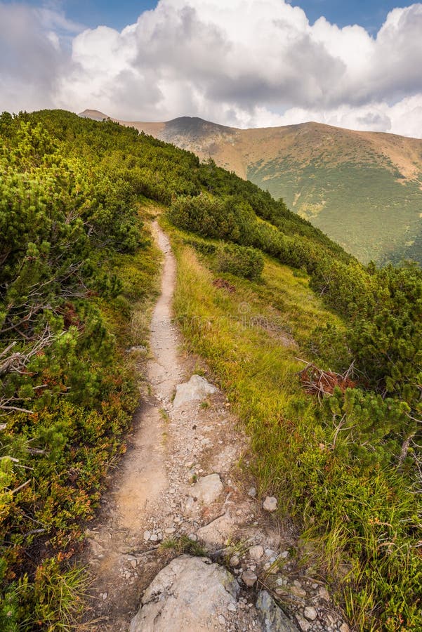 Hiking Trail in the Mountains Stock Image - Image of walkway, tatra ...