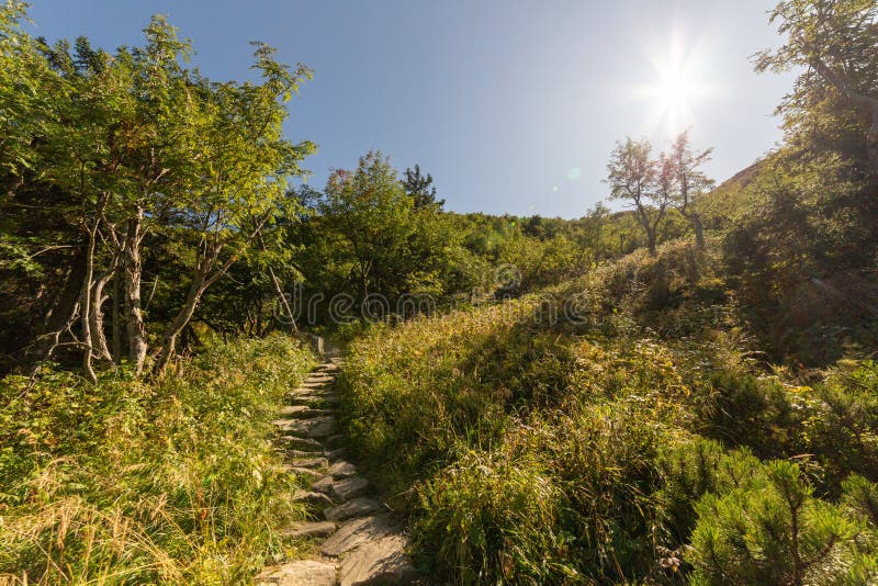 Hiking Trail in Mountains on Sunny Day Stock Image - Image of shine ...