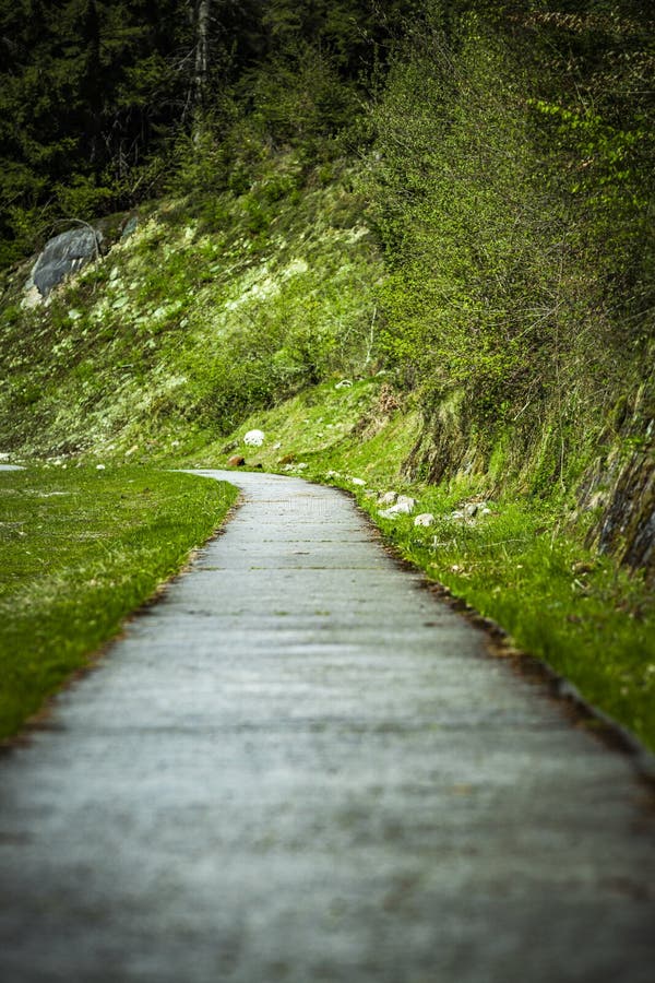 Hiking Trail through Natural Landscape Stock Photo - Image of natural ...