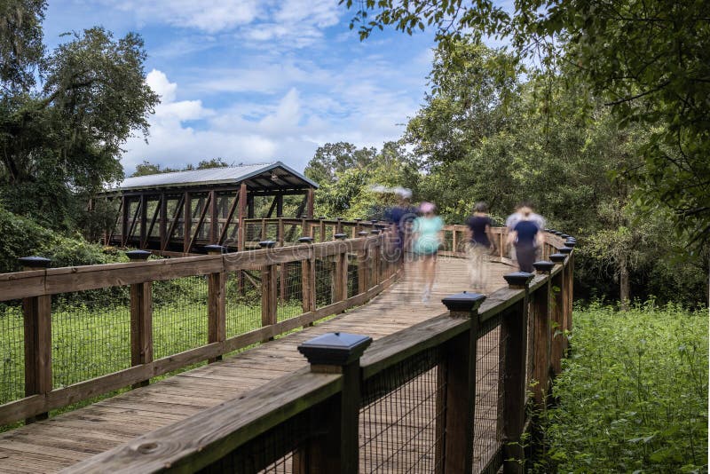 Hiking Trail Pedestrian Bridge with People Exercising Stock Photo ...