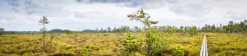 Prairie Panorama in Saskatchewan, Canada Stock Photo - Image of canola ...