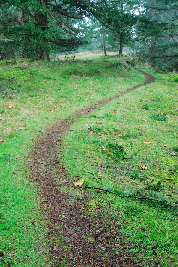 Hiking Trail in Autumn Forest Stock Image - Image of edmonton, tranquil ...