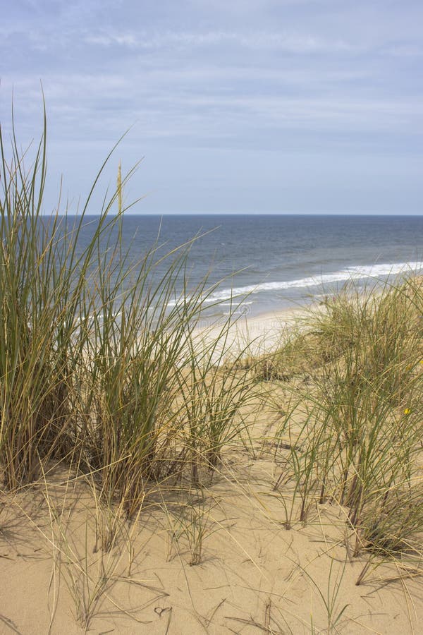 Hiking Trail at the Red Cliff on Sylt Stock Photo - Image of hiking ...