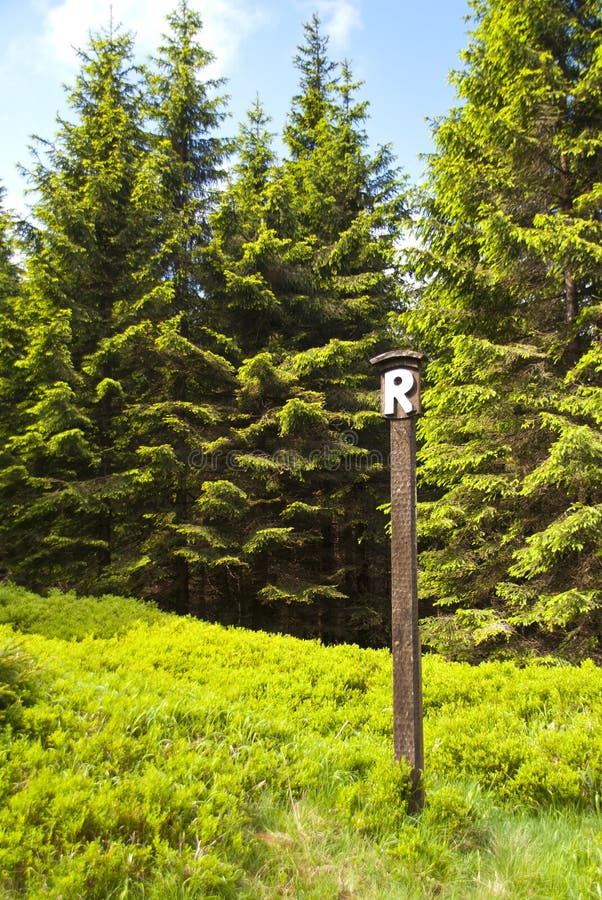 On the Hiking Trail Rennsteig in Germany Stock Image - Image of ...