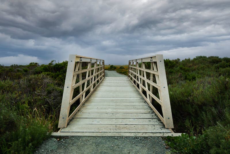 Hiking Trail, and Rustic Boardwalk through the Wilderness and Native ...