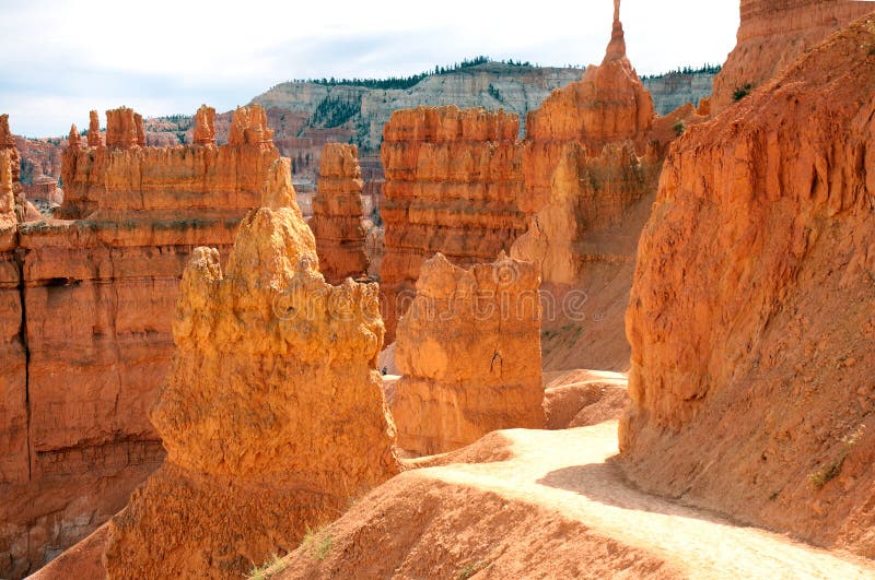Hiking Trail Scenery in Bryce Wilderness Stock Image - Image of clouds ...