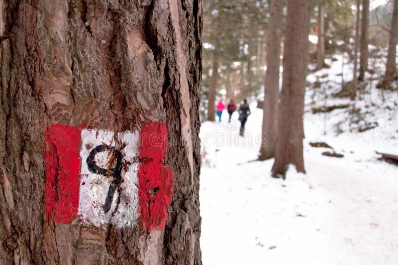 Hiking Trail Sign Post on a Tree Stock Photo - Image of mark, hiking ...