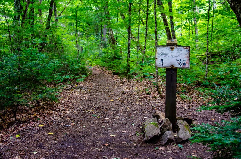 A Hiking Trail Sign stock image. Image of forest, camp - 75695811