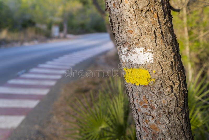 Hiking trail sign. stock photo. Image of hiking, walking - 68339684