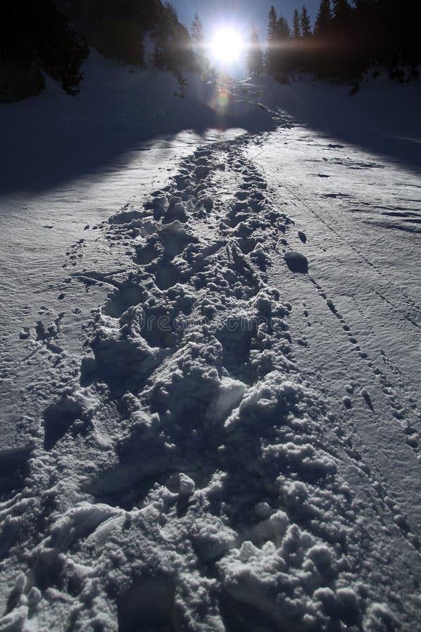 Mountain snow trail stock image. Image of avalanche, white - 30268489