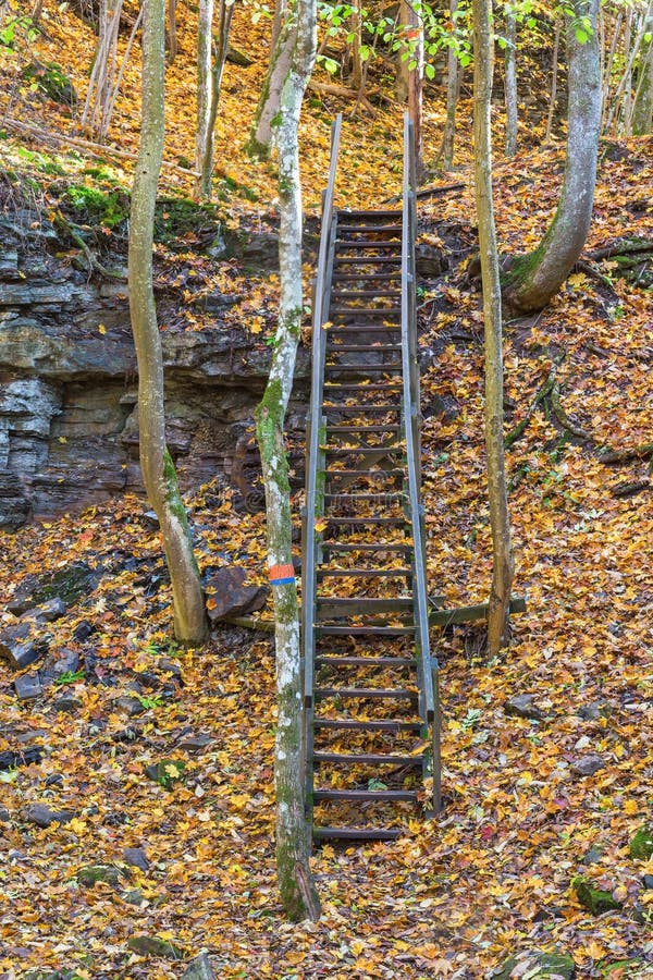 Hiking Trail with a Staircase Stock Image - Image of staircase, empty ...
