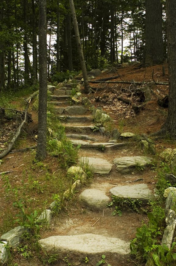Hiking Trail Stairs stock image. Image of trees, path, exercise - 975867