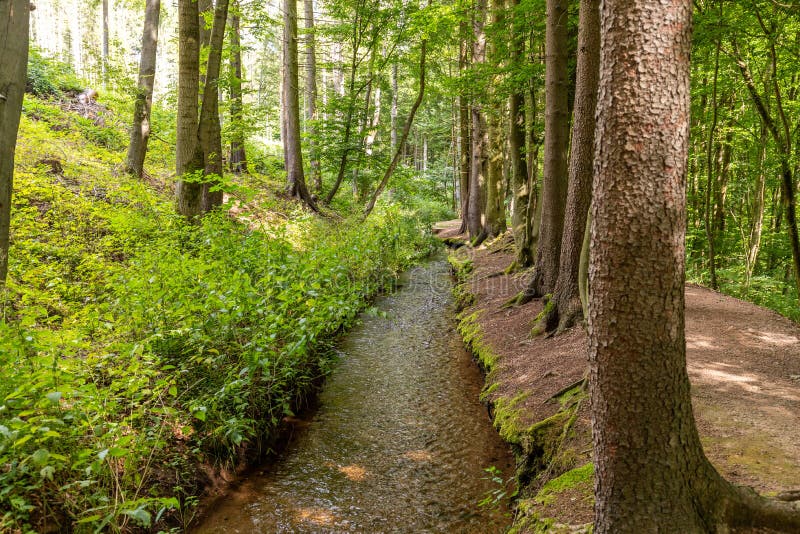 Hiking Trail and Stream Near Trusetaler Waterfall in Thuringia Stock ...
