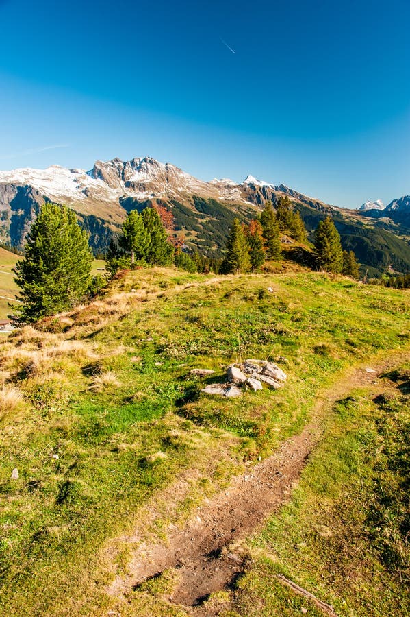 Hiking trail in swiss alps stock photo. Image of swiss - 25580572
