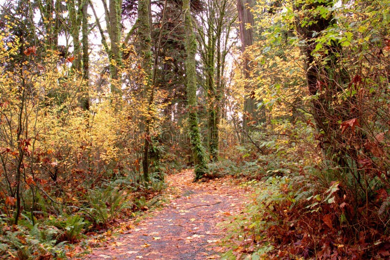 Hiking in the fall stock image. Image of color, colors - 161962171