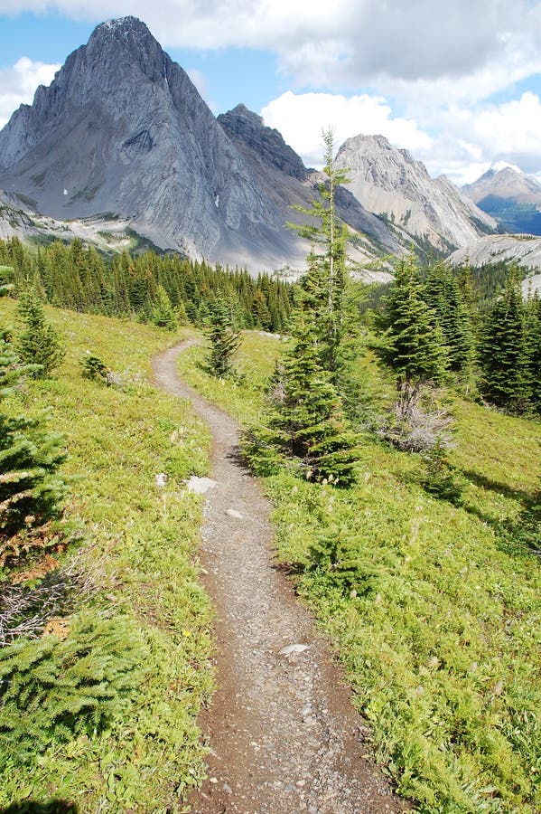 Hiking trail to mountains stock photo. Image of alberta - 6534376