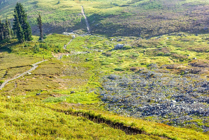 Hiking Trail through Green Mountain Top Meadows Stock Photo - Image of ...