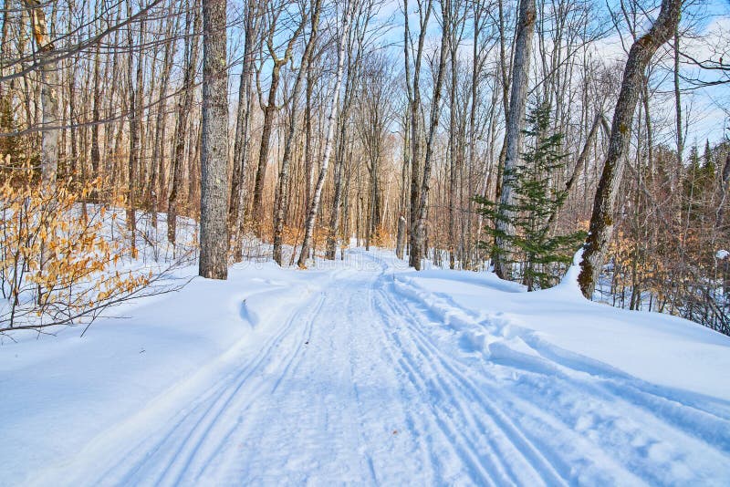 Hiking Trail in Winter Over Snow in Forest Stock Photo - Image of scene ...