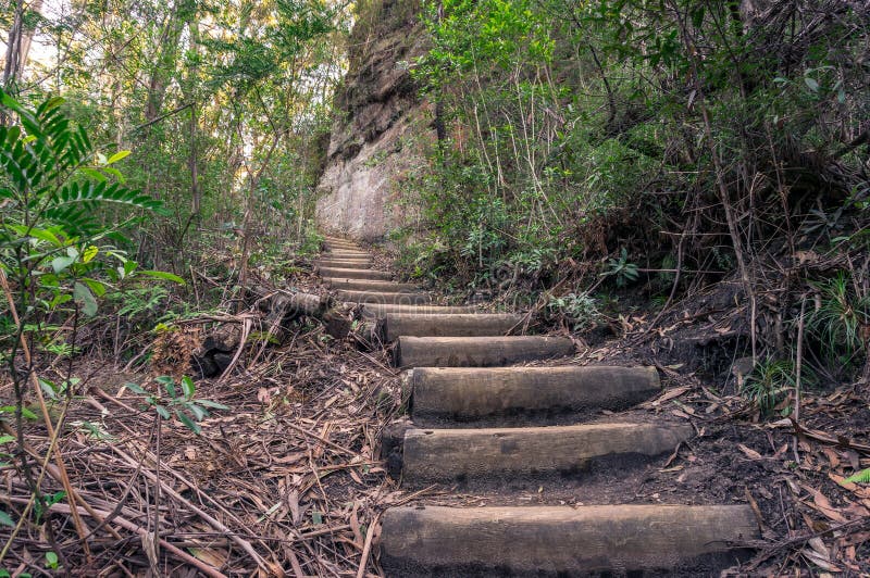 Hiking Trail with Wooden Log Staircase, Steps Stock Image - Image of ...