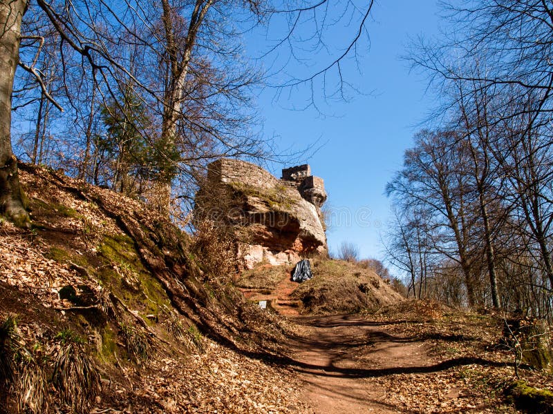 Hiking Trails in the Border Forest Area Stock Photo - Image of outdoor ...