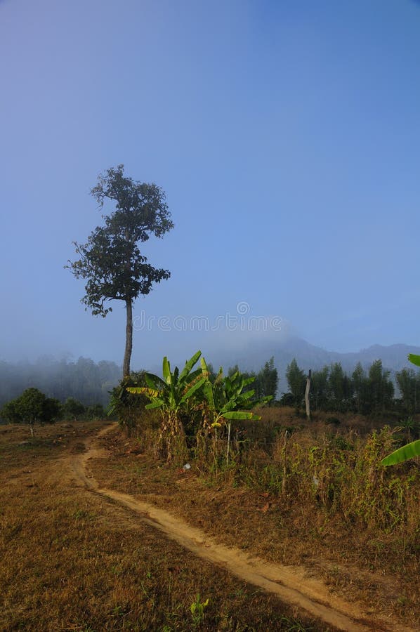 Hiking Trails in the Early Morning Stock Photo - Image of street, rural ...