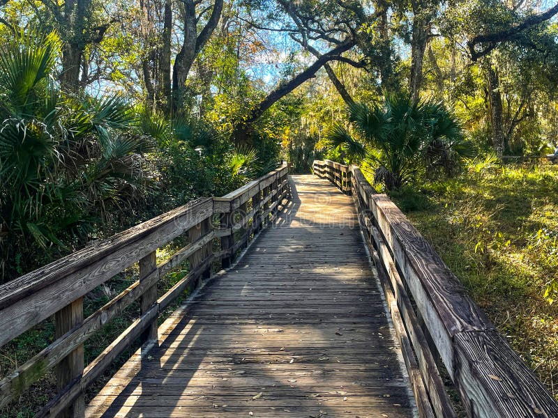 The Hiking Trails at a State Park in Orlando, Florida Stock Photo ...