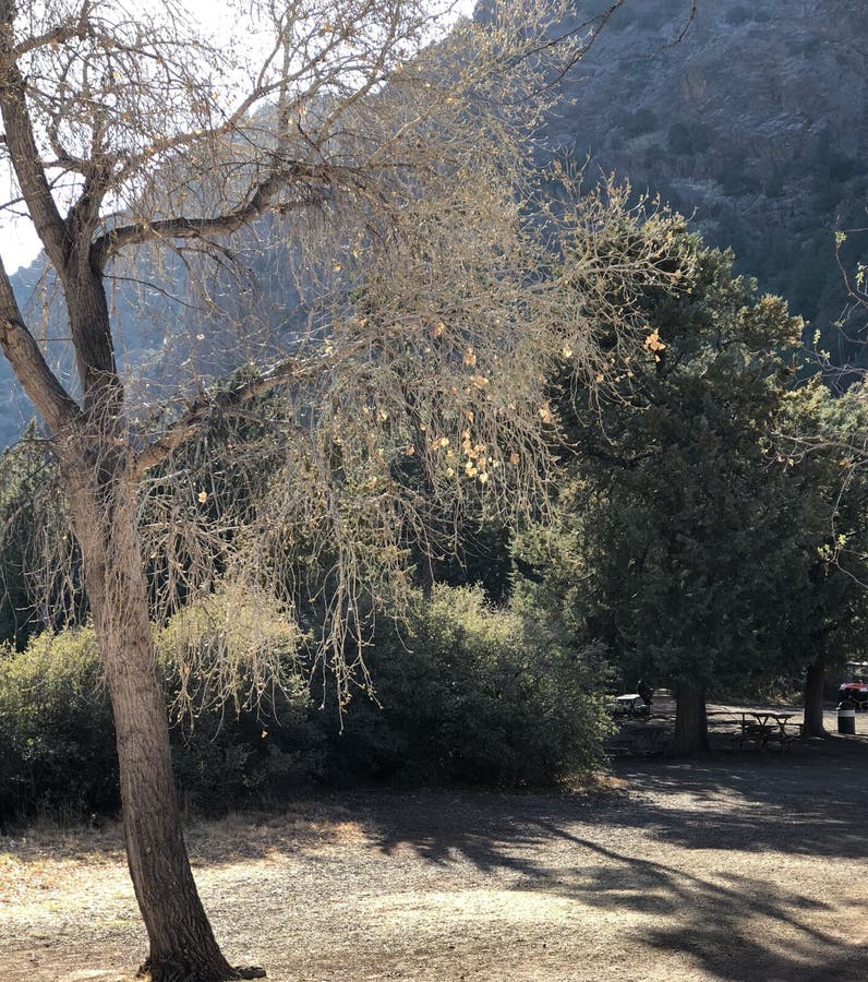 Hiking trees stock image. Image of outdoor, fall, trees - 111283831