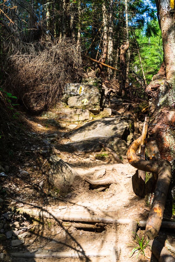 Hiking, View of Mountain Forest Trail. Sunlights Over a Difficult Trail ...