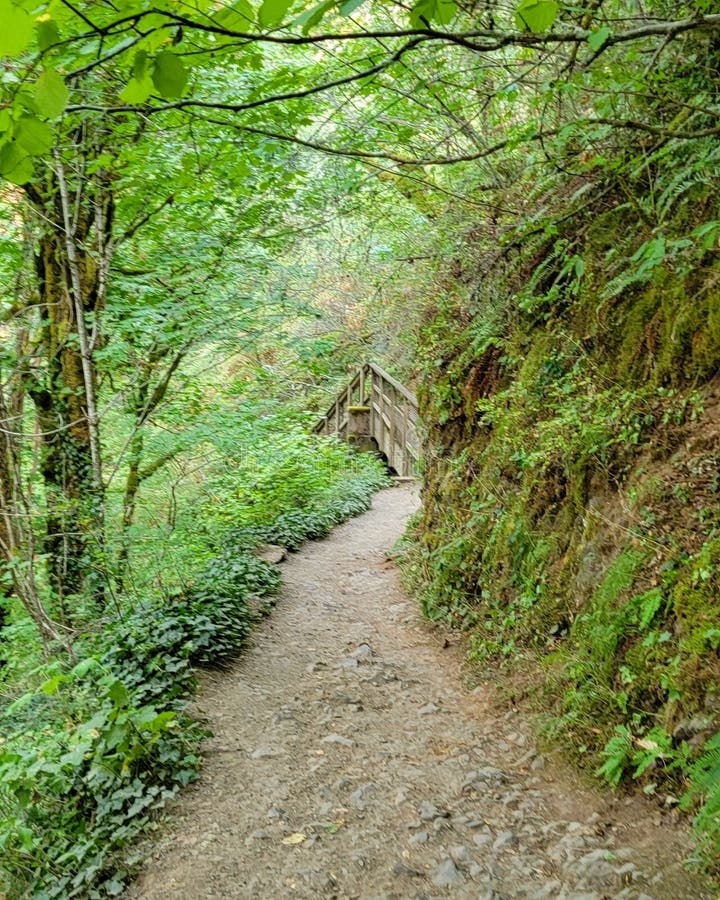 Hiking Views Around Cascade Locks Oregon Stock Photo - Image of ...