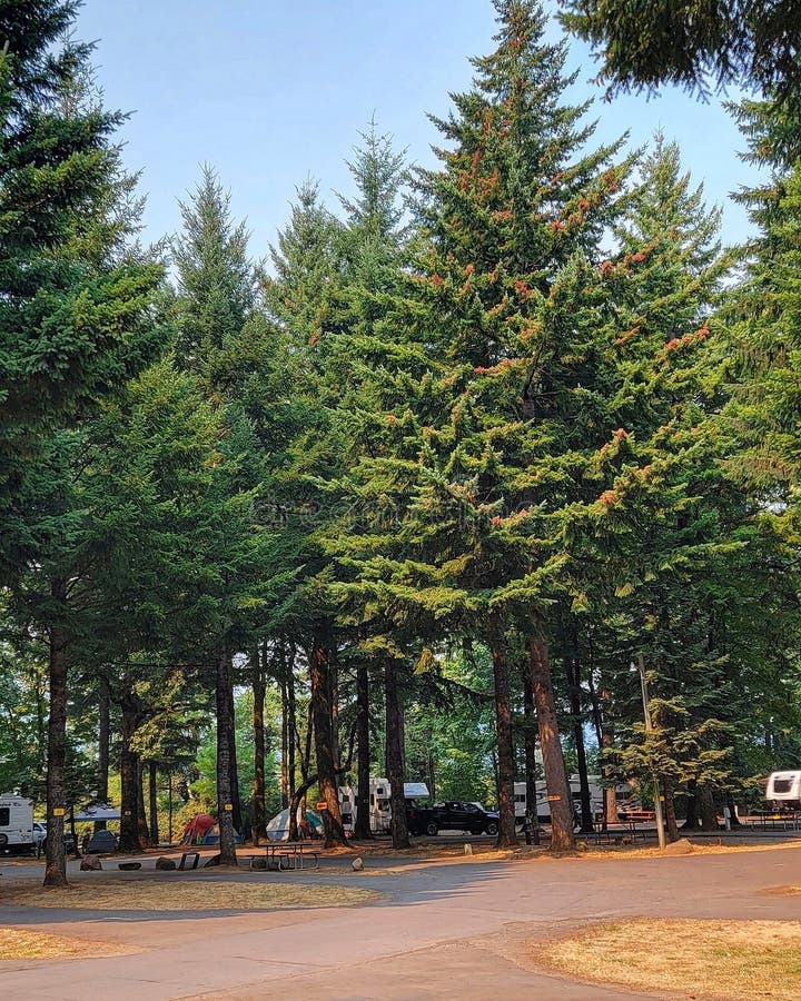 Hiking Views Around Cascade Locks Oregon Editorial Stock Image - Image ...