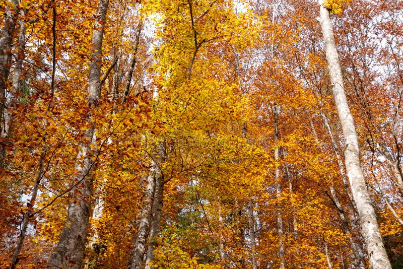 Hiking Through The Vrata Valley In Autumn Triglav National Park In
