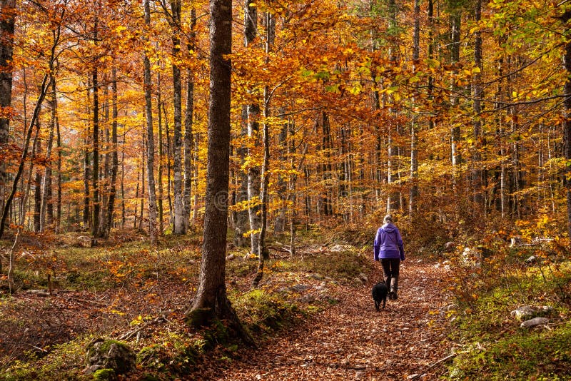 Hiking Through The Vrata Valley In Autumn Triglav National Park In