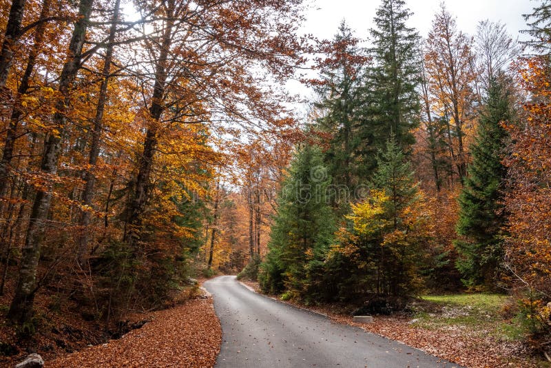 Hiking Through The Vrata Valley In Autumn Triglav National Park In