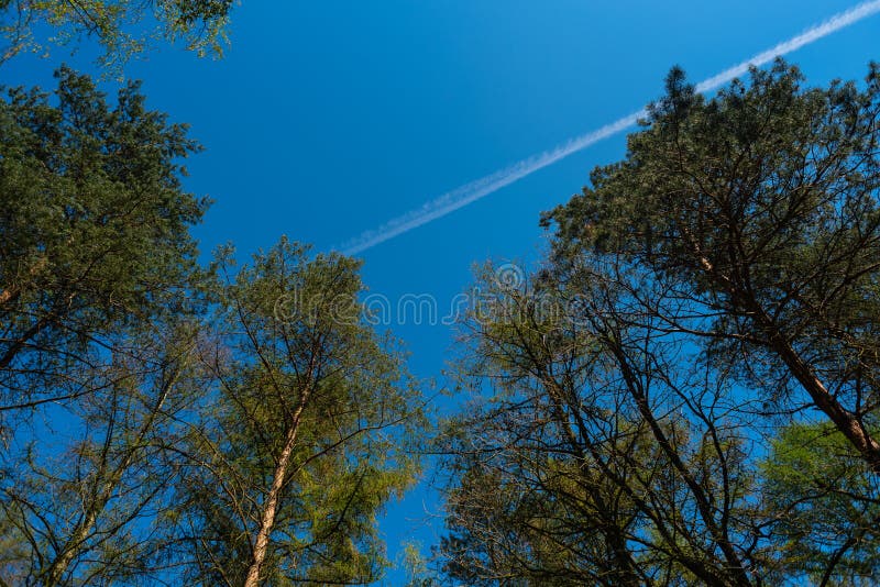 While Hiking a Wonderful View of Nature Stock Photo - Image of gras ...