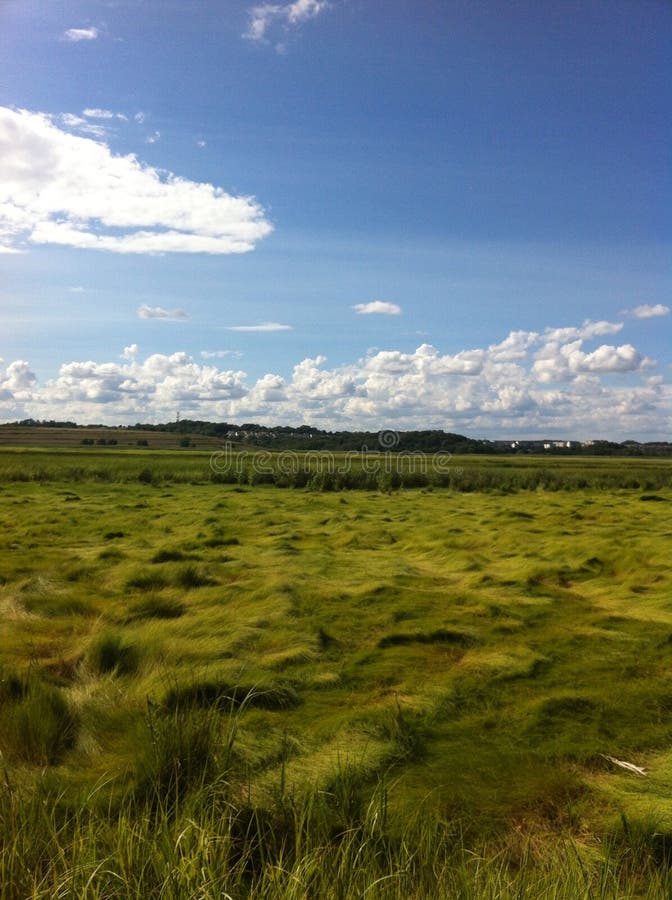 Hiking woods summer family stock photo. Image of marsh - 43204680