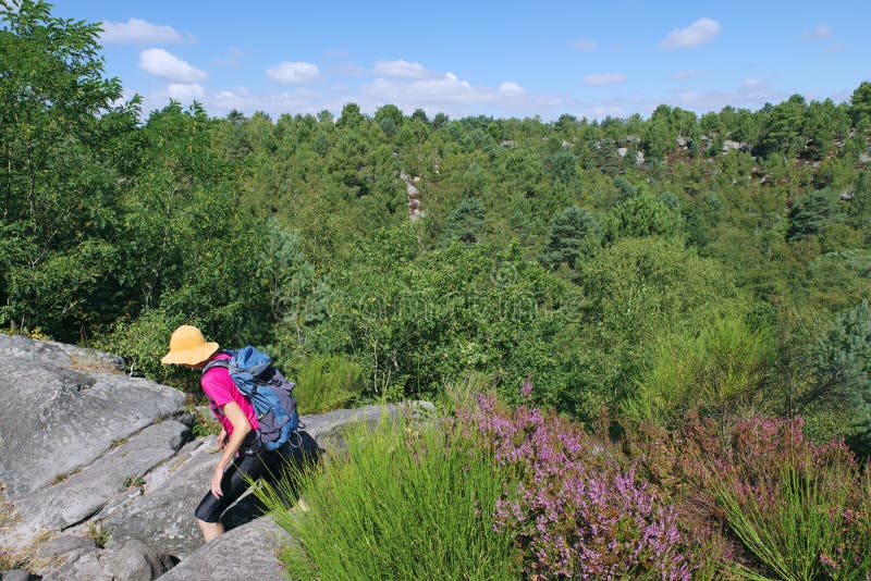Hikking in french forest editorial stock image. Image of walk - 75710494