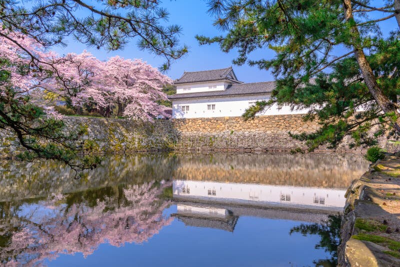 Hikone Castle in Spring stock image. Image of cherry - 81874525