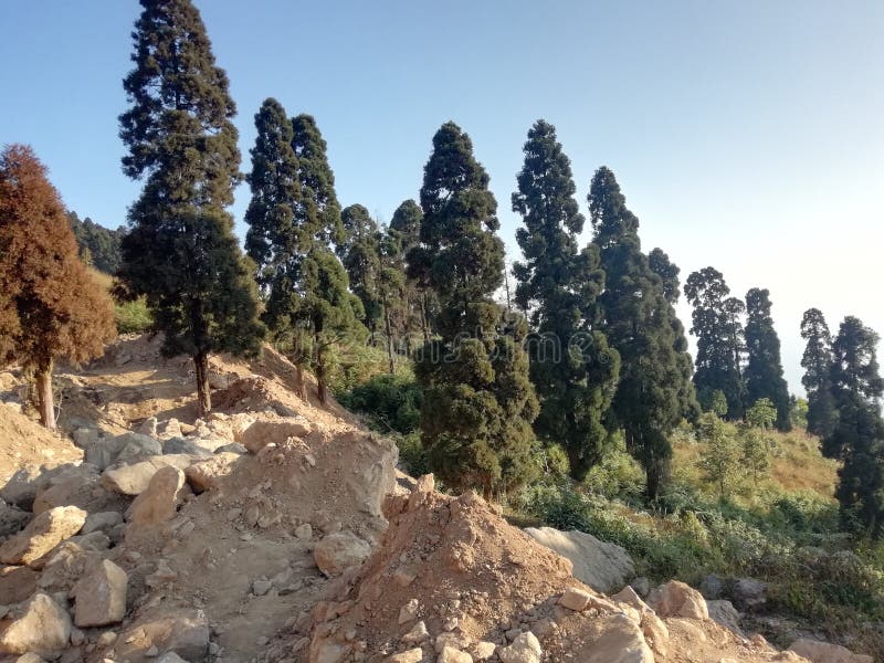 The Hill Areas Landscape Picture Stock Image - Image of areas, tree ...