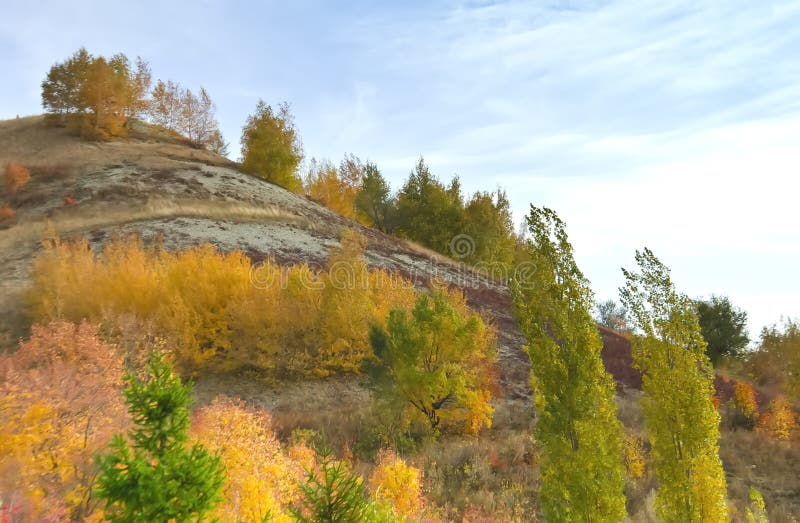 Hill Autumn Shrubs, and Trees of Autumn Stock Photo - Image of orange ...