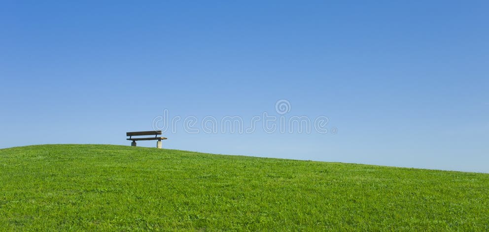 Hill bench stock image. Image of park, deciduous, forest - 263996649