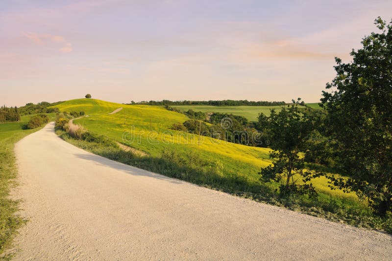 Hill Countryside in Tuscany at Dawn Stock Image - Image of land ...